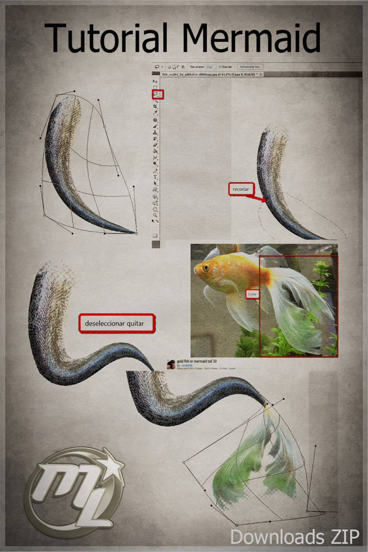 Tutorial Mermaid ZIP by ArtML30 on DeviantArt