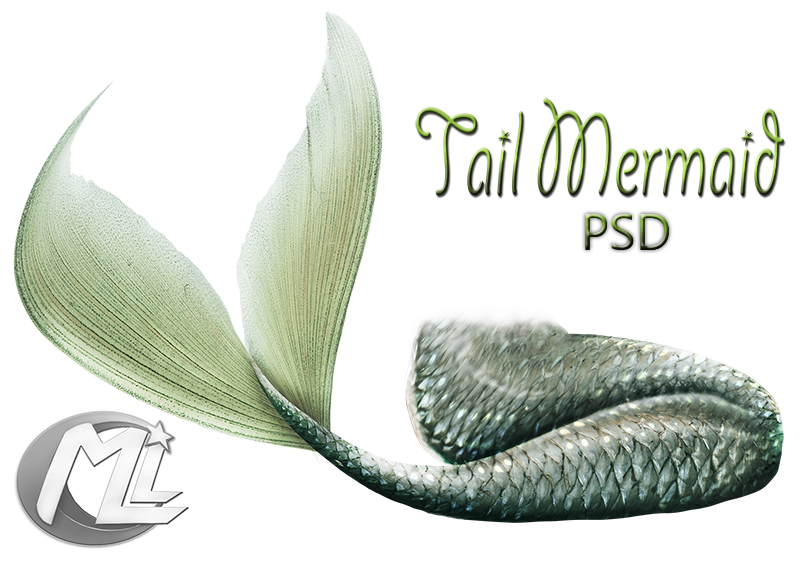 Tail Mermaid by Mlauviah3400 on DeviantArt