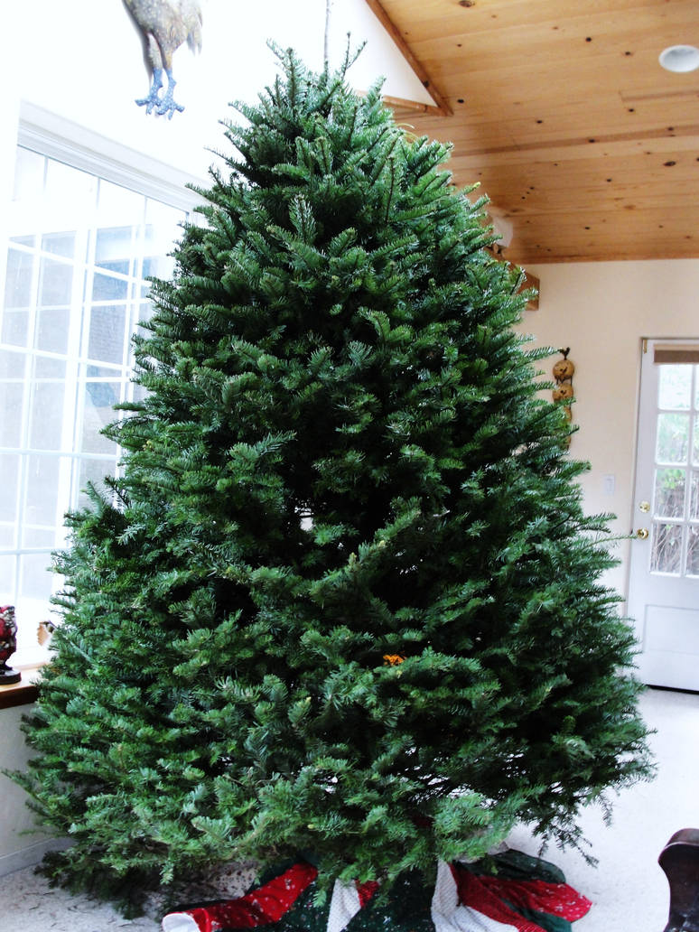 Secret Decoder Ring by DirtySeagulls on DeviantArt