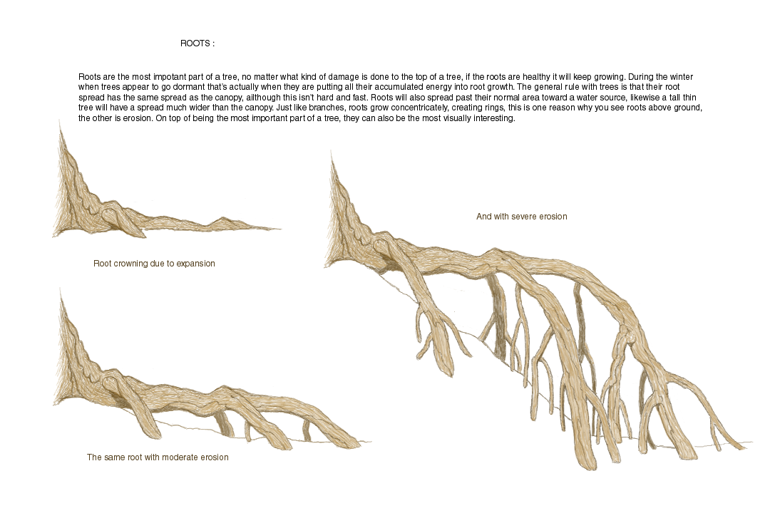 tree tutorial 8/11 by VinceAndrews on DeviantArt