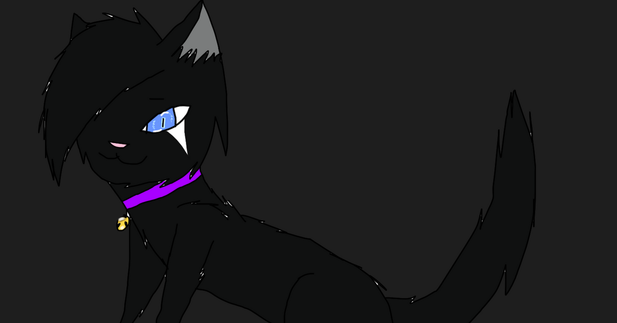 Pascal The Cat by JoItiks on DeviantArt