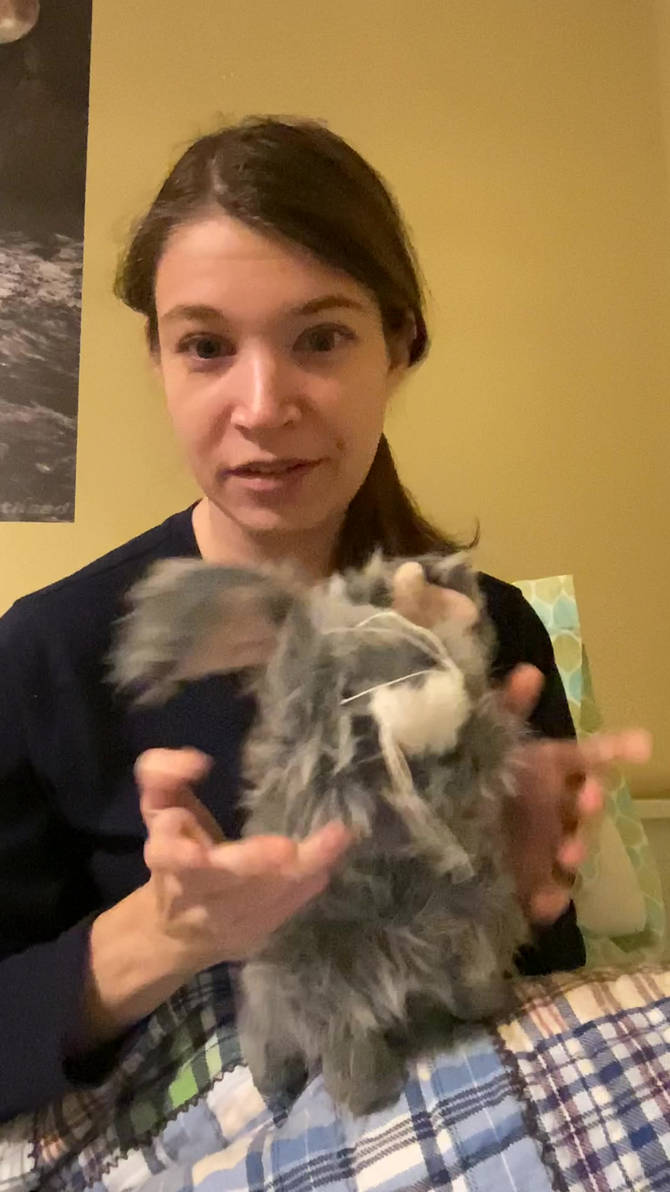 Newest update: Mr. Fluffles! by Blaria95-love-bunny on DeviantArt