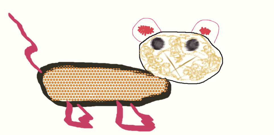 Ratty by EupV2 on DeviantArt