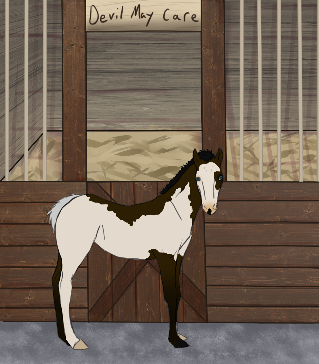 WBS Devil May Care -foal ref by KajeJackson on DeviantArt