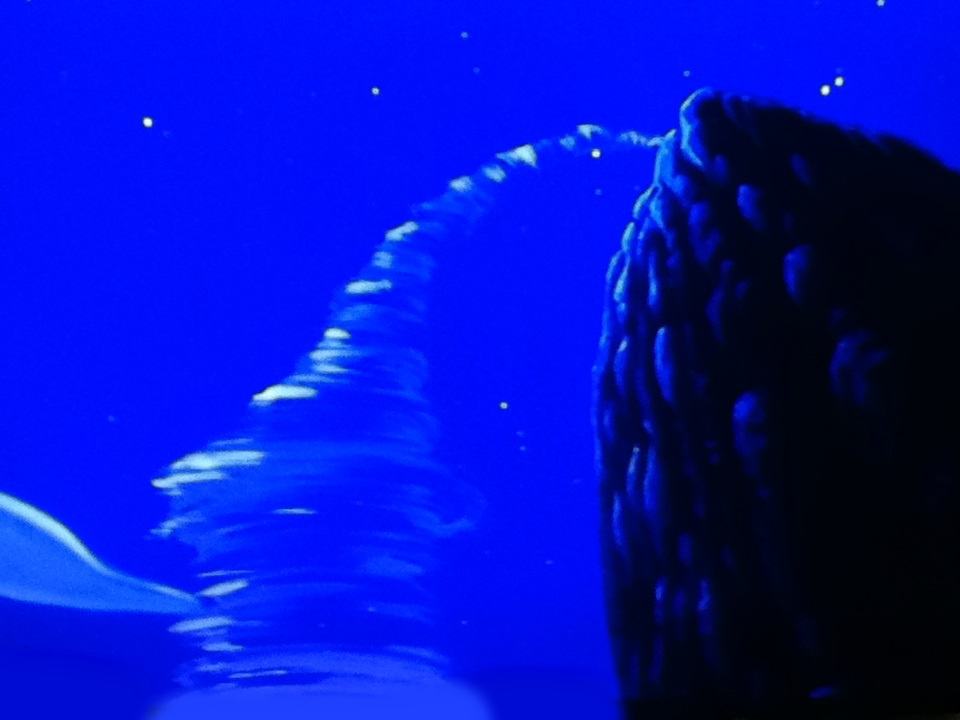 Genie do fast Tornado and Whirlpool, by mattjohn1992 on DeviantArt