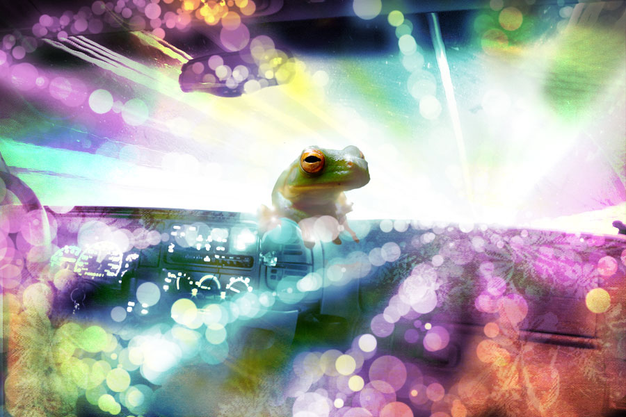 Frog by Turbozilla on DeviantArt