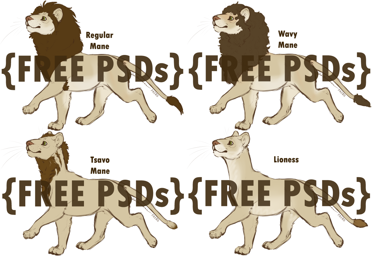 Free Lion Bases by Raptor-Tooth on DeviantArt