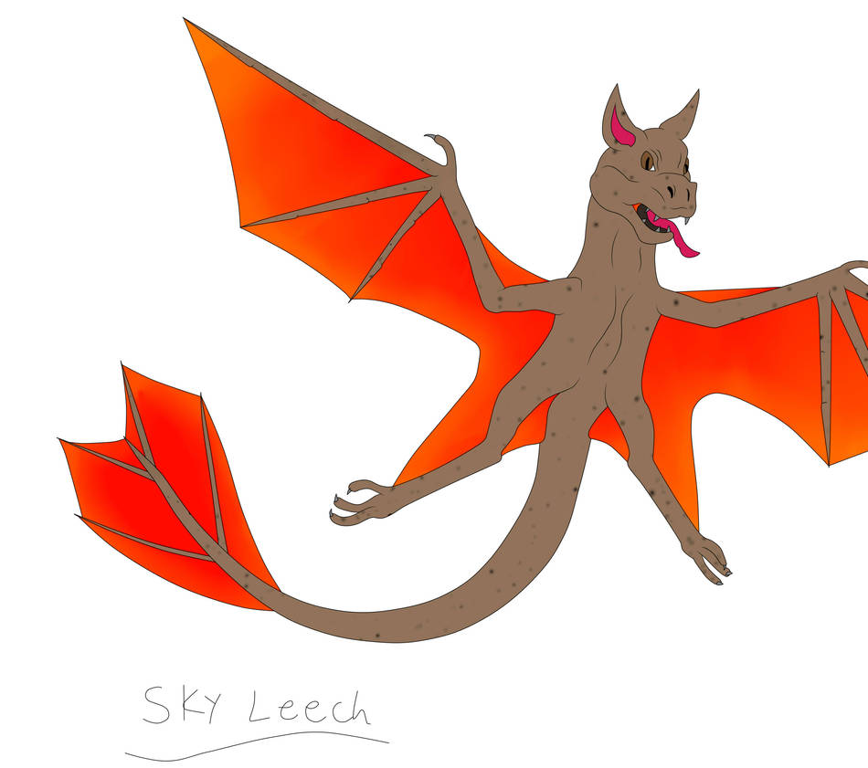 Dragon File: Sky-Leech by Springfallendeer on DeviantArt