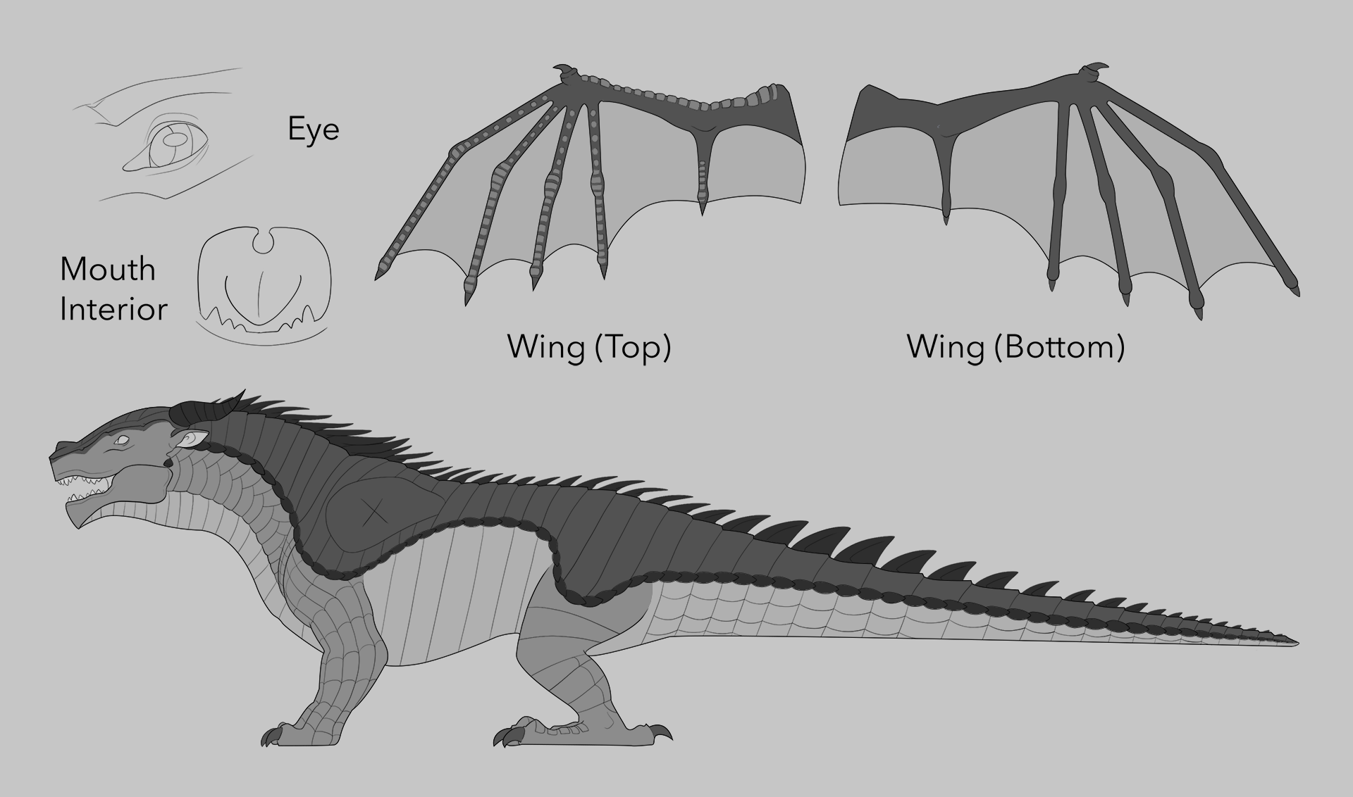 Mudwing Base - F2U by Shannite on DeviantArt