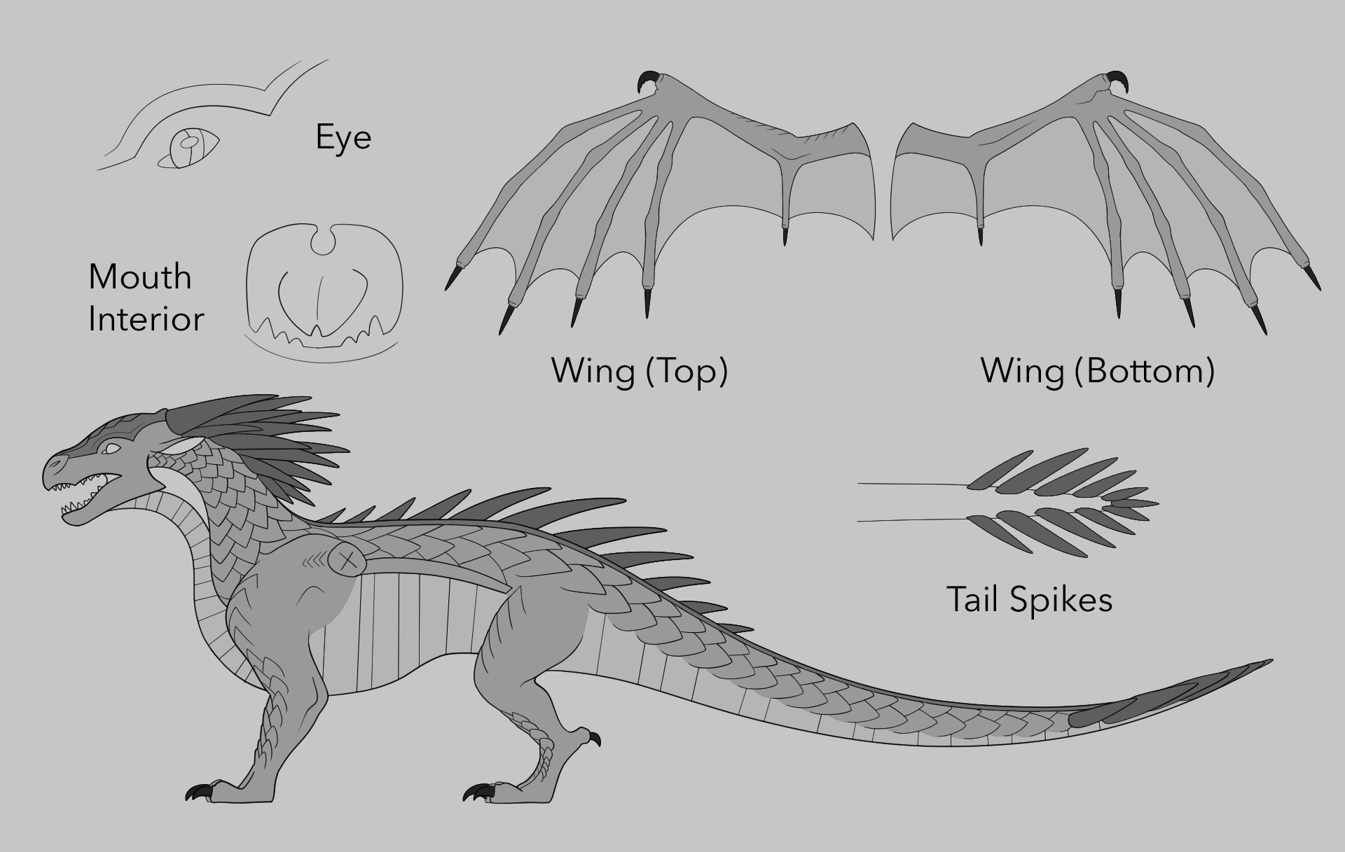 Icewing Base - F2U by Shannite on DeviantArt