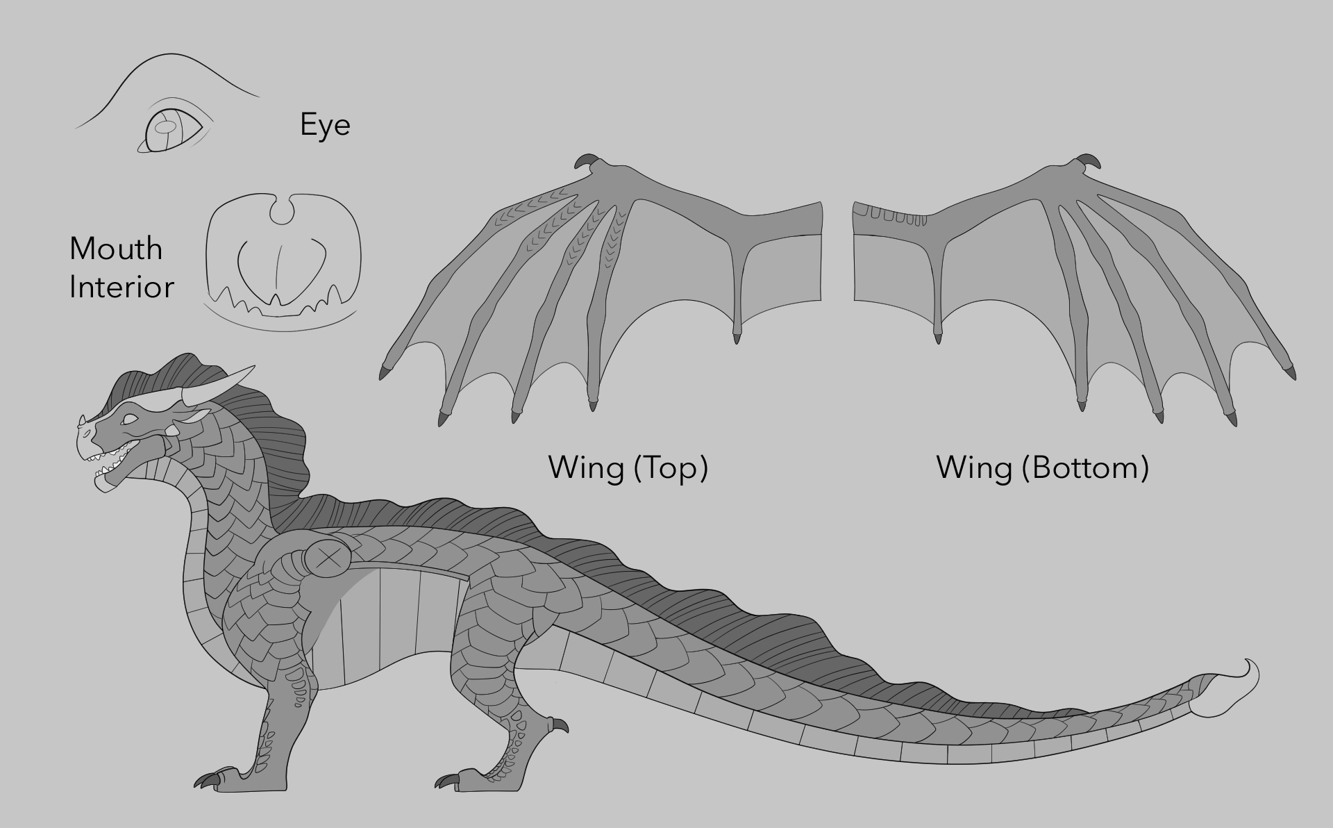 Sandwing Base - F2U by Shannite on DeviantArt