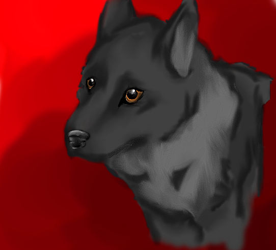 AzulaMoonWolf User Profile | DeviantArt
