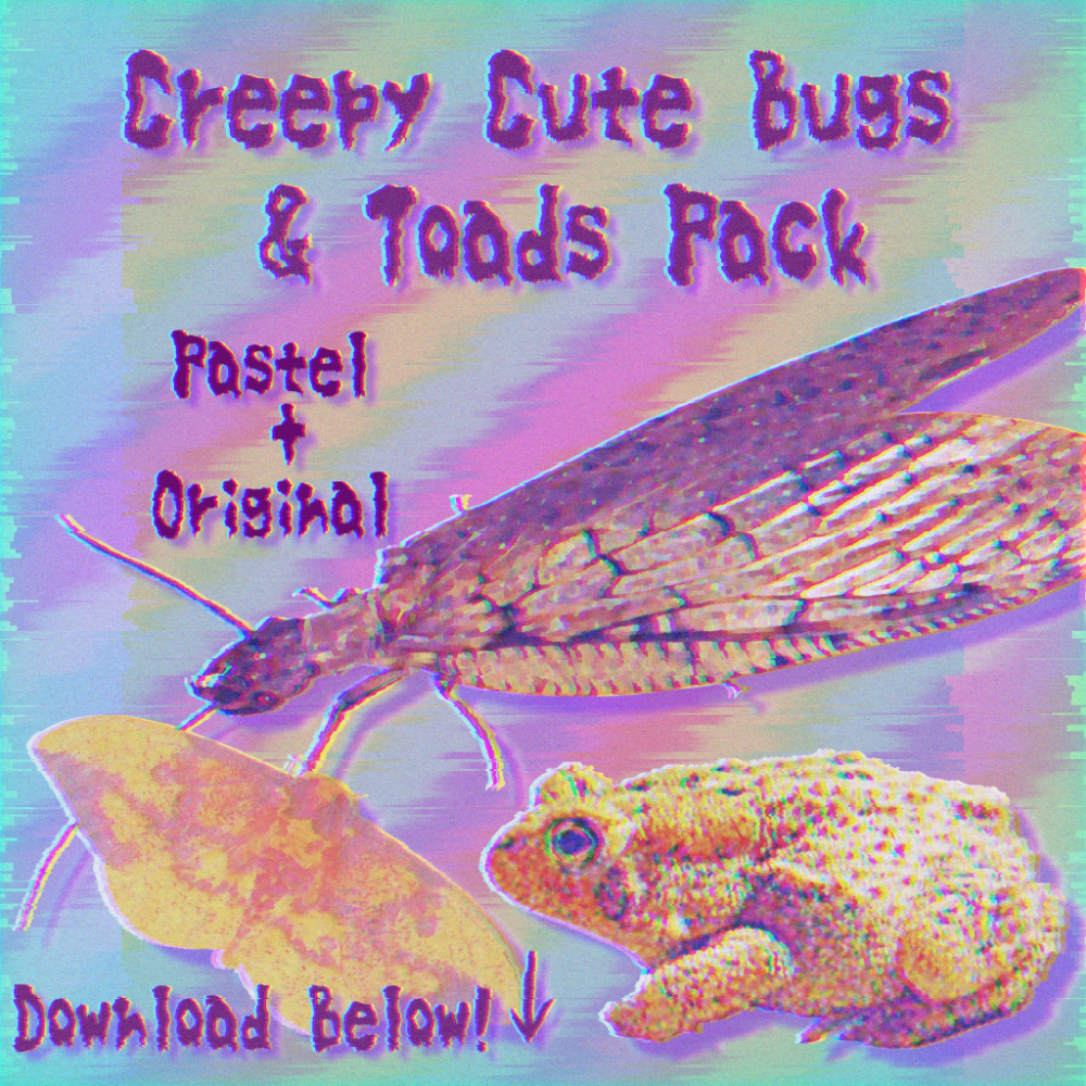 Free Clipart - Creepy Cute Bugs and Toads Pack by Ohuthia on DeviantArt