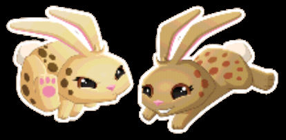 Leopard Bunnies ( Transparent image ) by Springgyspinnyboi-Aj on DeviantArt