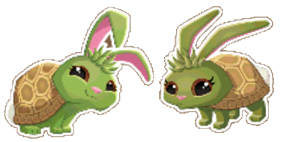 Turtle Bunnies ( Transparent image ) by Springgyspinnyboi-Aj on DeviantArt