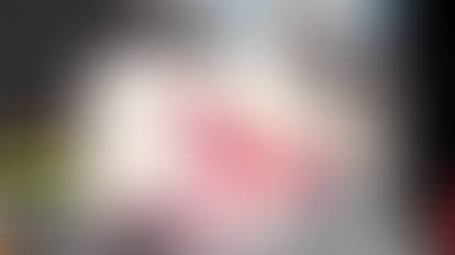 KagamimochiCat - Hobbyist, Digital Artist | DeviantArt