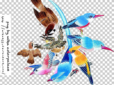 bird_png_bymika by mikakjj on DeviantArt