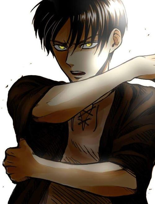 Curiosity - Eren Jaeger/Reader [Modern AU] by Pastel--Mermaid on DeviantArt