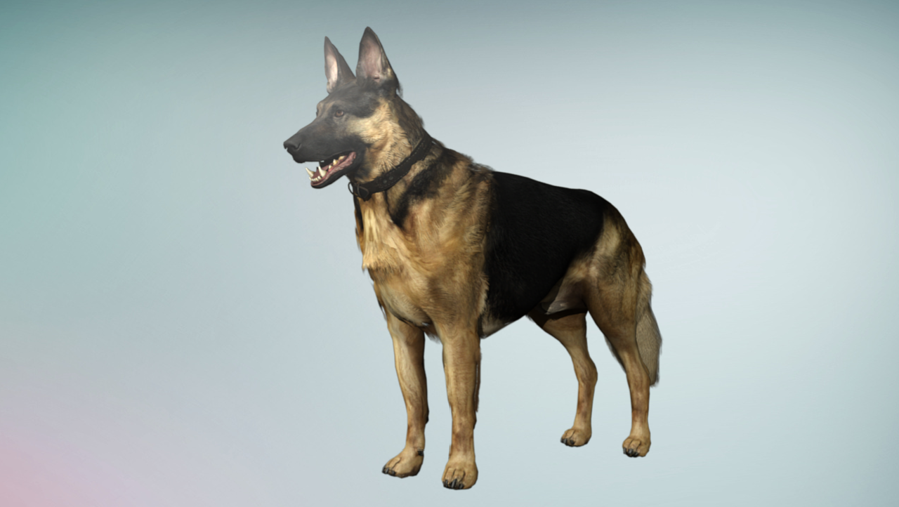 Call Of Duty Ghosts Riley Dog