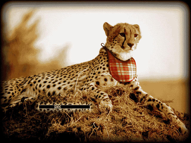 Mau Collection: Cheetah by Palii on DeviantArt