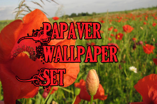 Papaver Wallpaper by UkoTerpuh on DeviantArt