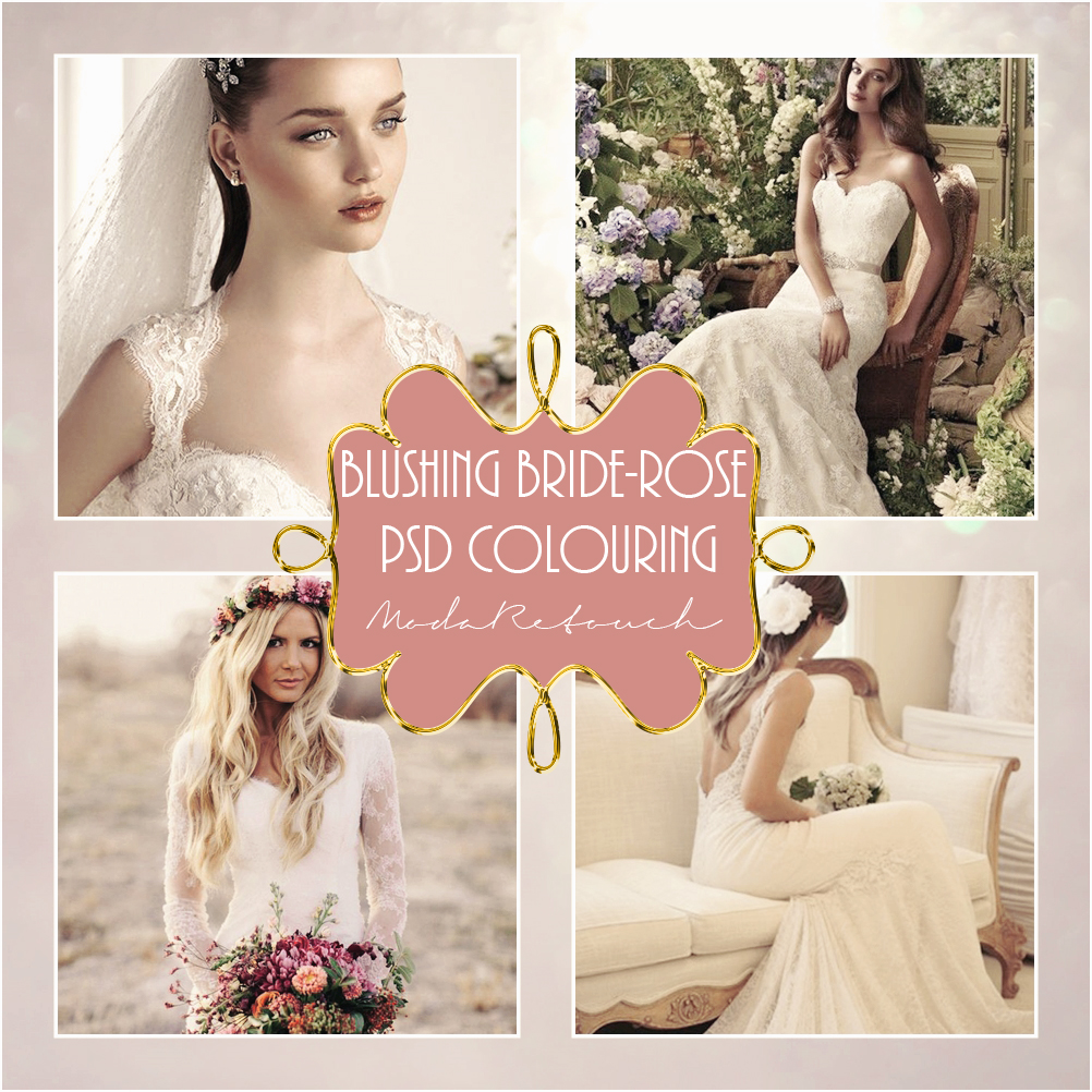 BLUSHING BRIDE ROSE- PSD COLOURING by ModaRetouch-Graphics on DeviantArt