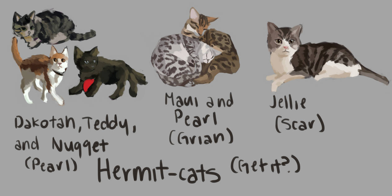 Hermitcats! (Hermit's cats) by gemlikesbirb on DeviantArt