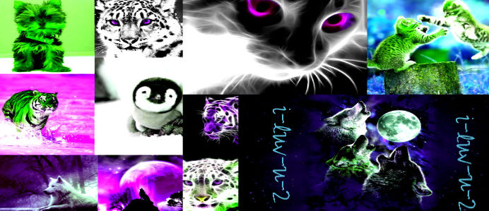 Collage Animals by i-luv-u-2 on DeviantArt