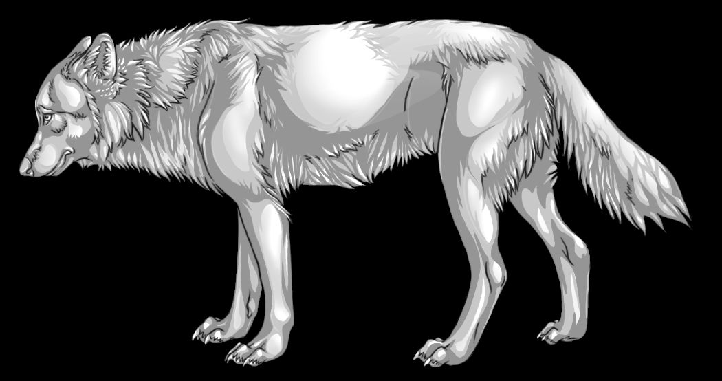 Free Wolf Template by KlakKlak on DeviantArt