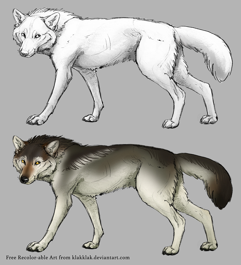 Deviantart Wolf Tekeningen Drawing Of Buster The Wolf By JohnV2004 On