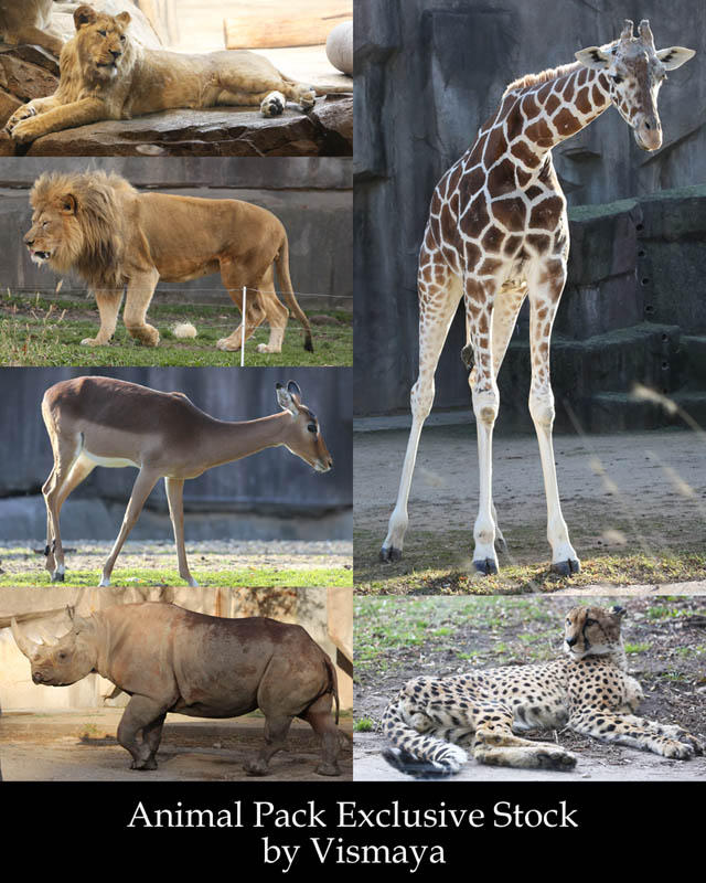 Animal pack exclusive stock by vismaya on DeviantArt