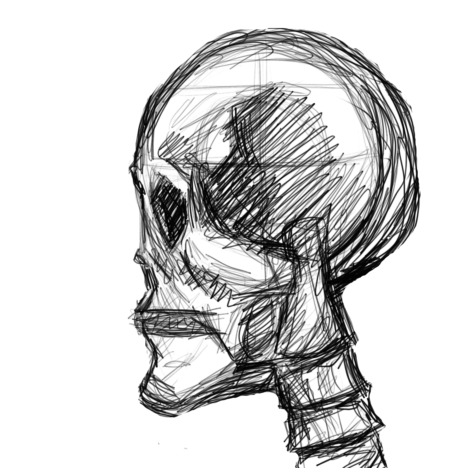Human Skulls Side View Drawing