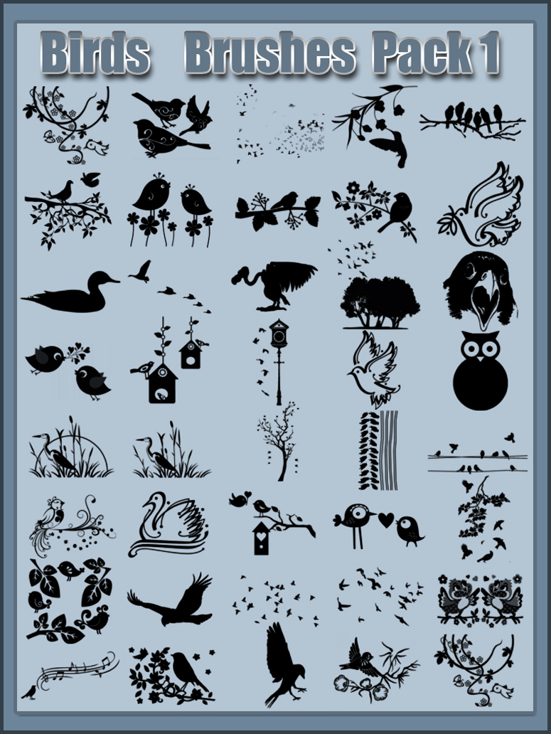 Birds Brushes Abr Pack 1 by Laurent-Dubus on DeviantArt
