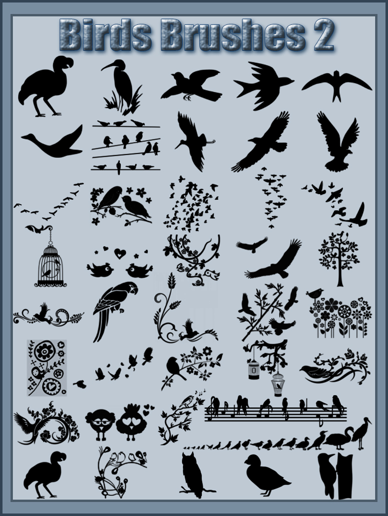 Birds Brushes Abr Pack 2 by Laurent-Dubus on DeviantArt