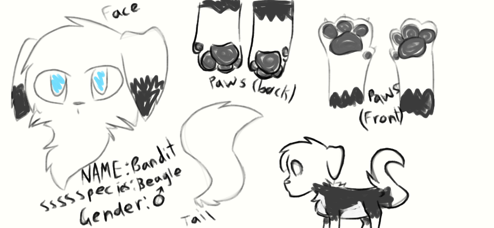 Bandit OC ref by cookiebuzz1 on DeviantArt
