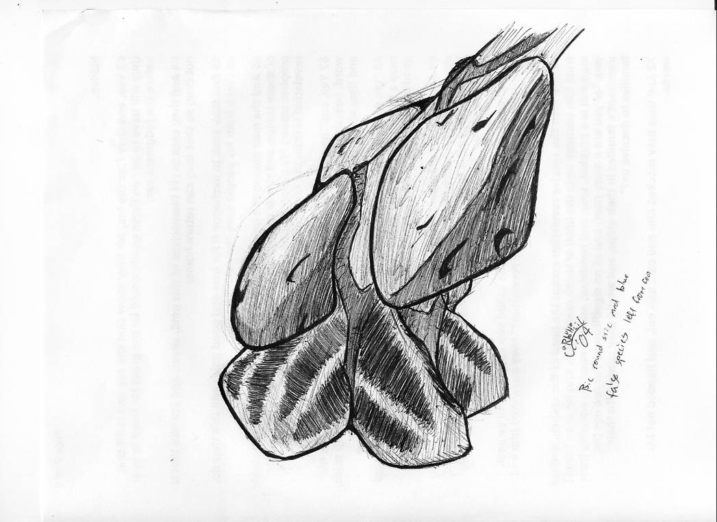 Alien Foot by rotmeat on DeviantArt