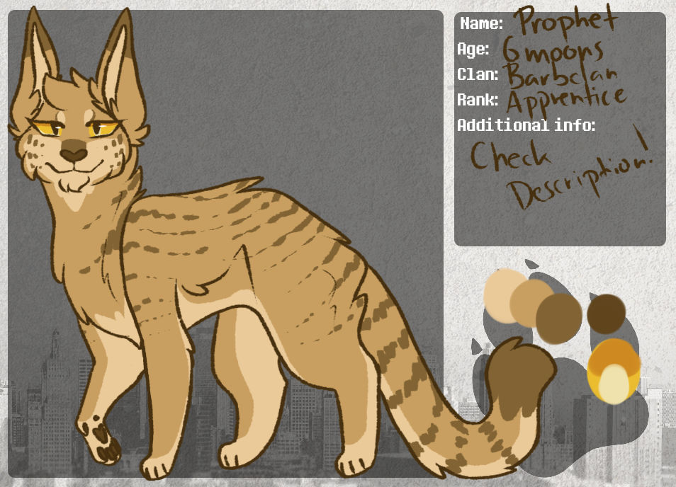 Prophet(Calamity Clans) by Rainbow-Lava on DeviantArt