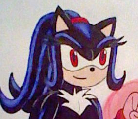 Raven Maria Hedgehog info by GothNebula on DeviantArt