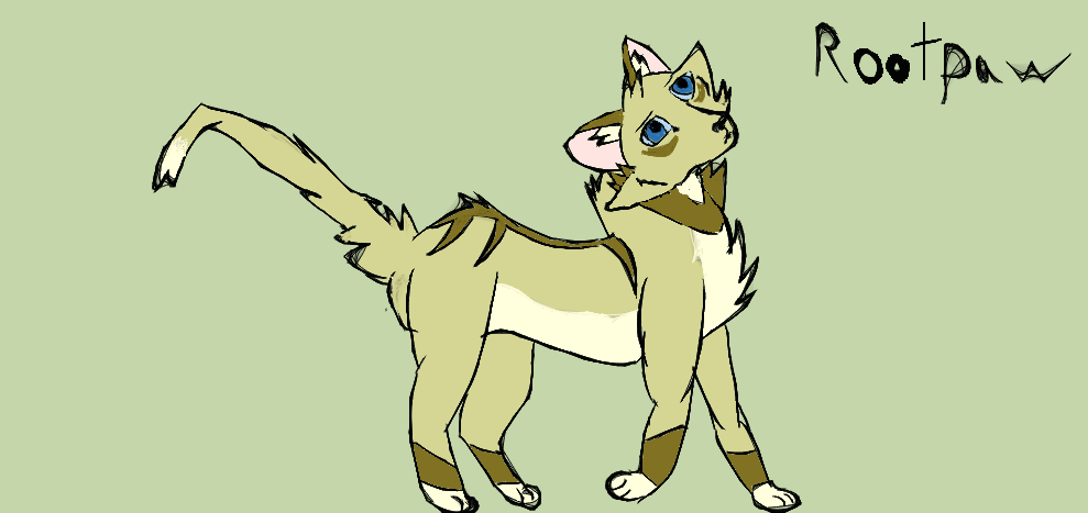 rootpaw by spectorwing on DeviantArt