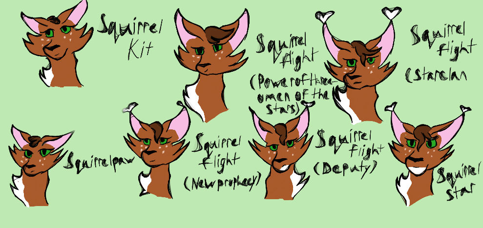 evolution of squirrelflight by spectorwing on DeviantArt