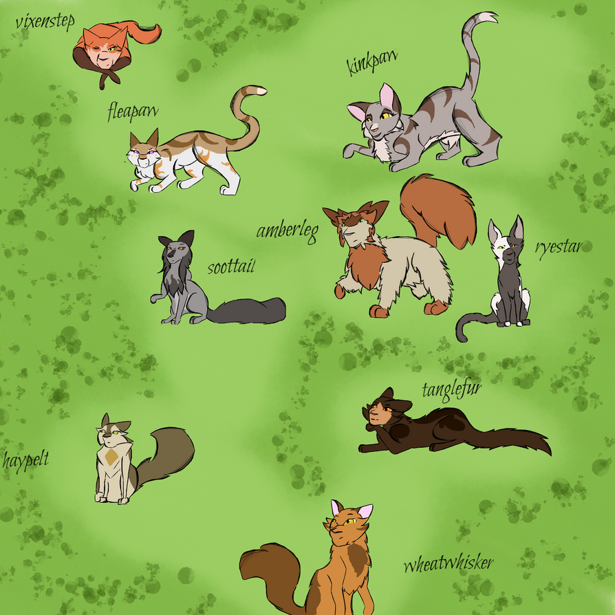 brand new windclan by spectorwing on DeviantArt