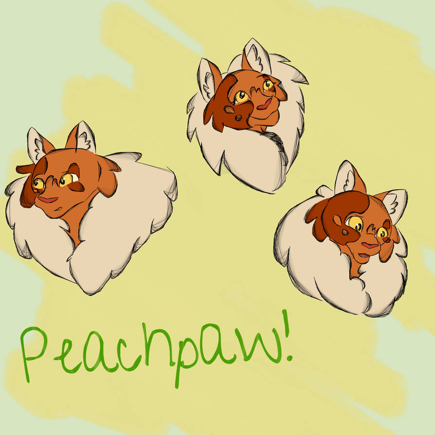 peachpaw fanart by spectorwing on DeviantArt