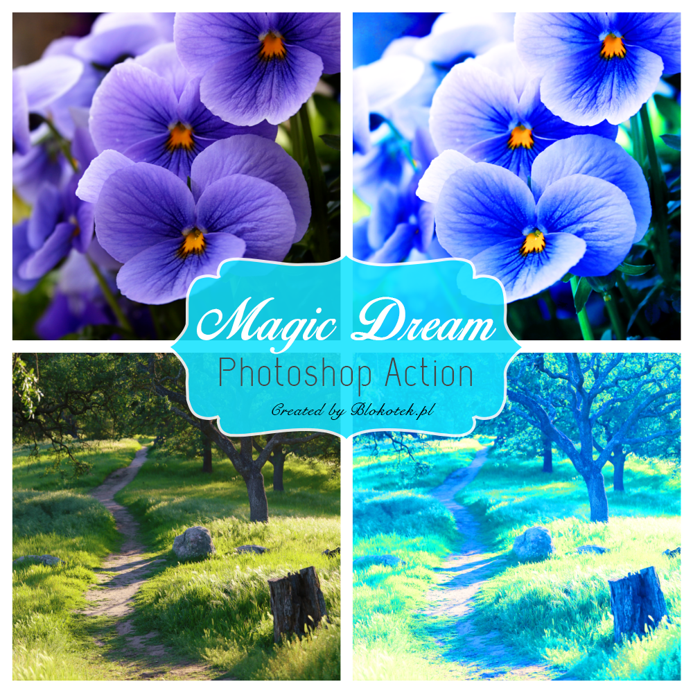 Magic Dream by Blokotek on DeviantArt