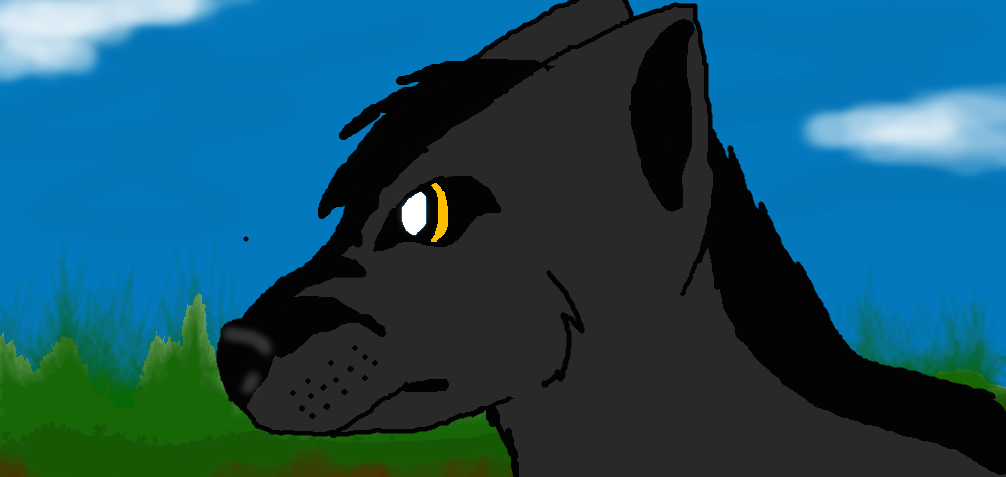 Wolf by Gogreendreamer123 on DeviantArt
