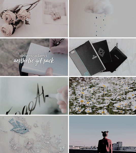 Aesthetic Gif Pack by drivers-adam by daria-morgendorffers on DeviantArt