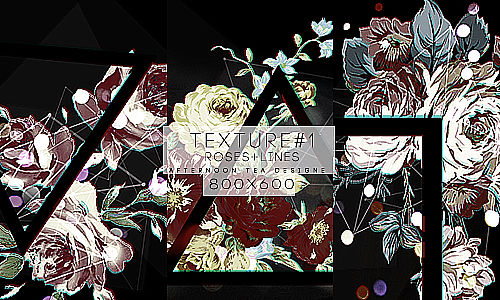 TEXTURE#1_ROSES+LINES by GreenTeawithMilk on DeviantArt