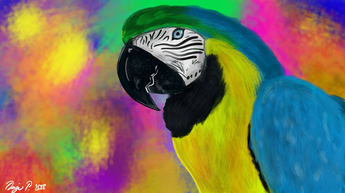 Papiga by DujePi on DeviantArt