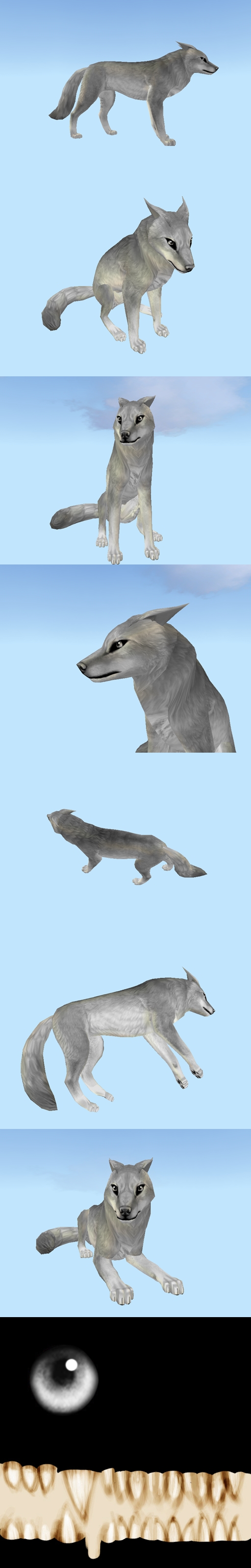 Canine Texture by NorthernRed on DeviantArt