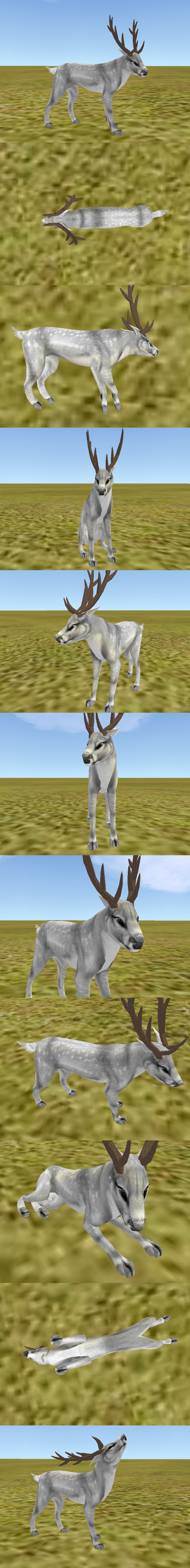 DEER TEXTURE for FeralHeart by NorthernRed on DeviantArt