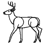 DEER walk cycle - guide / PATREON by NorthernRed on DeviantArt
